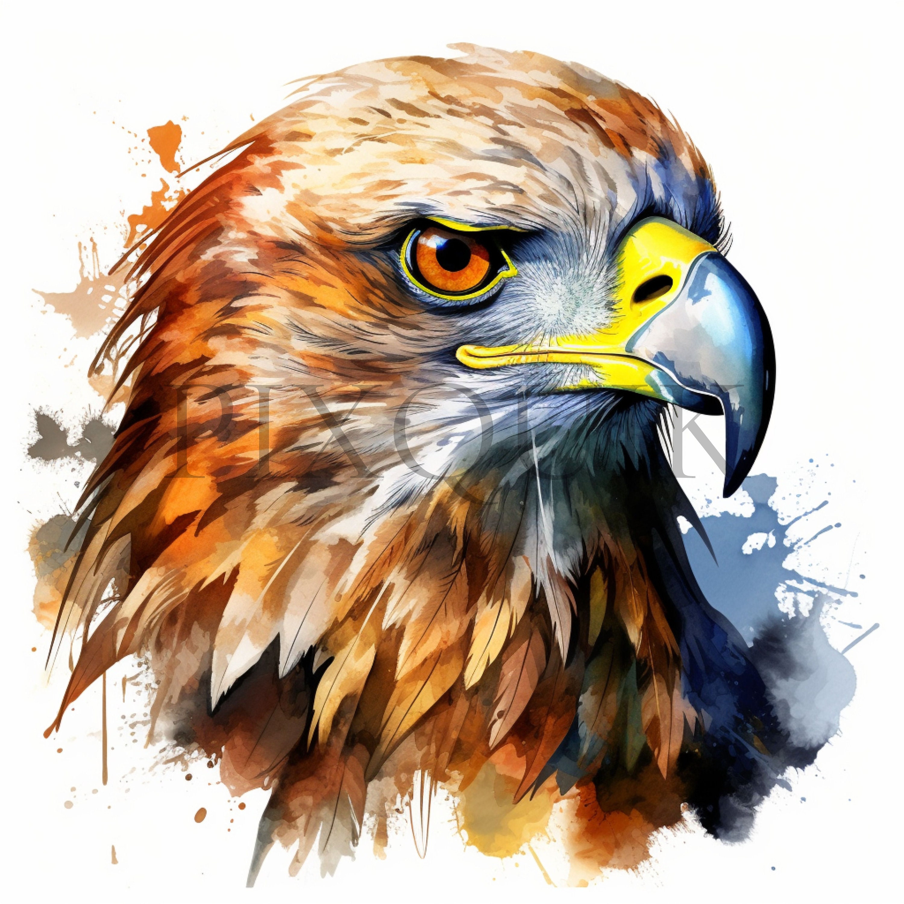Watercolor Eagle Clipart 10 High-quality Jpgs Digital Download Eagle ...