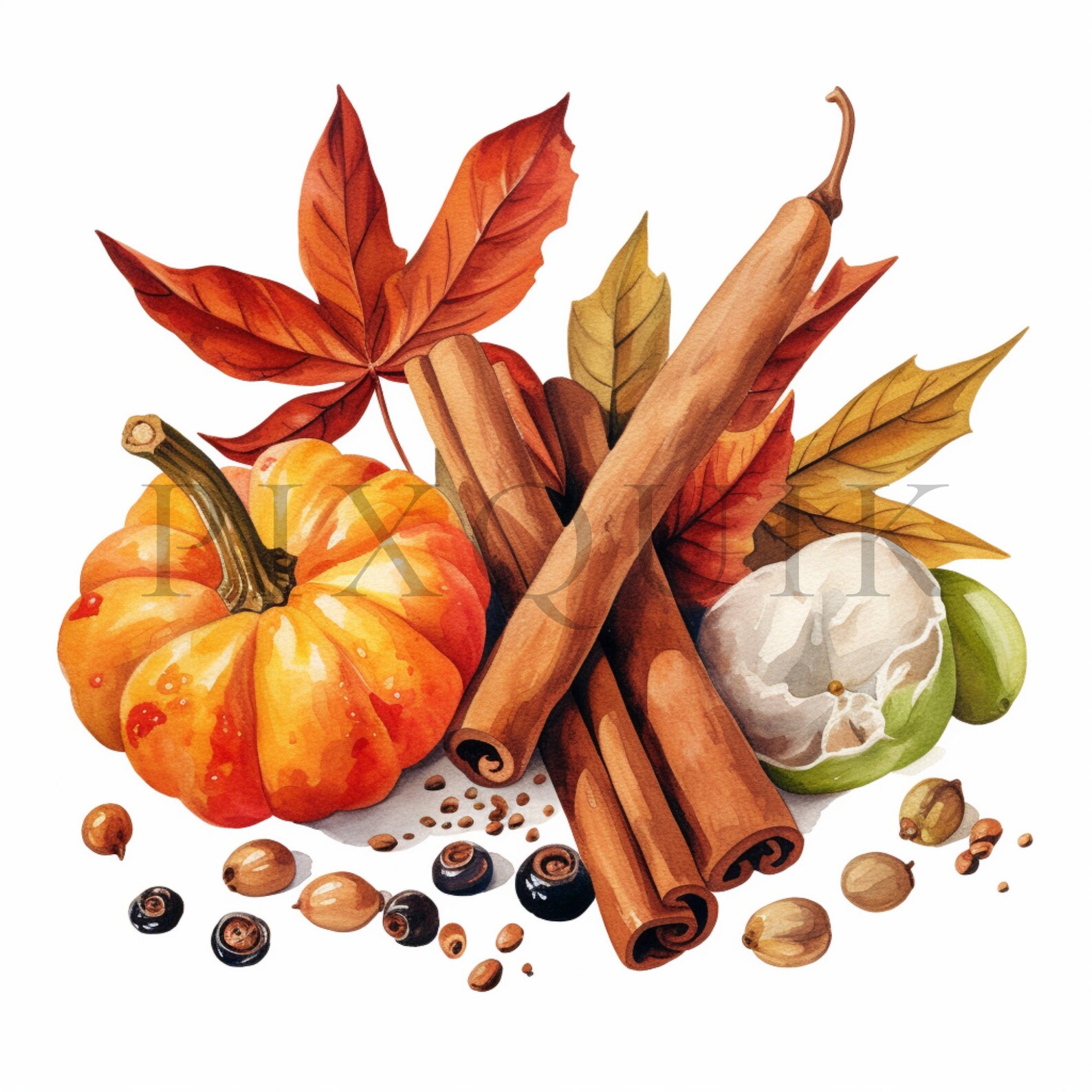 Autumn Spice Clipart | 10 High Quality Jpgs | Digital Download | Autumn ...