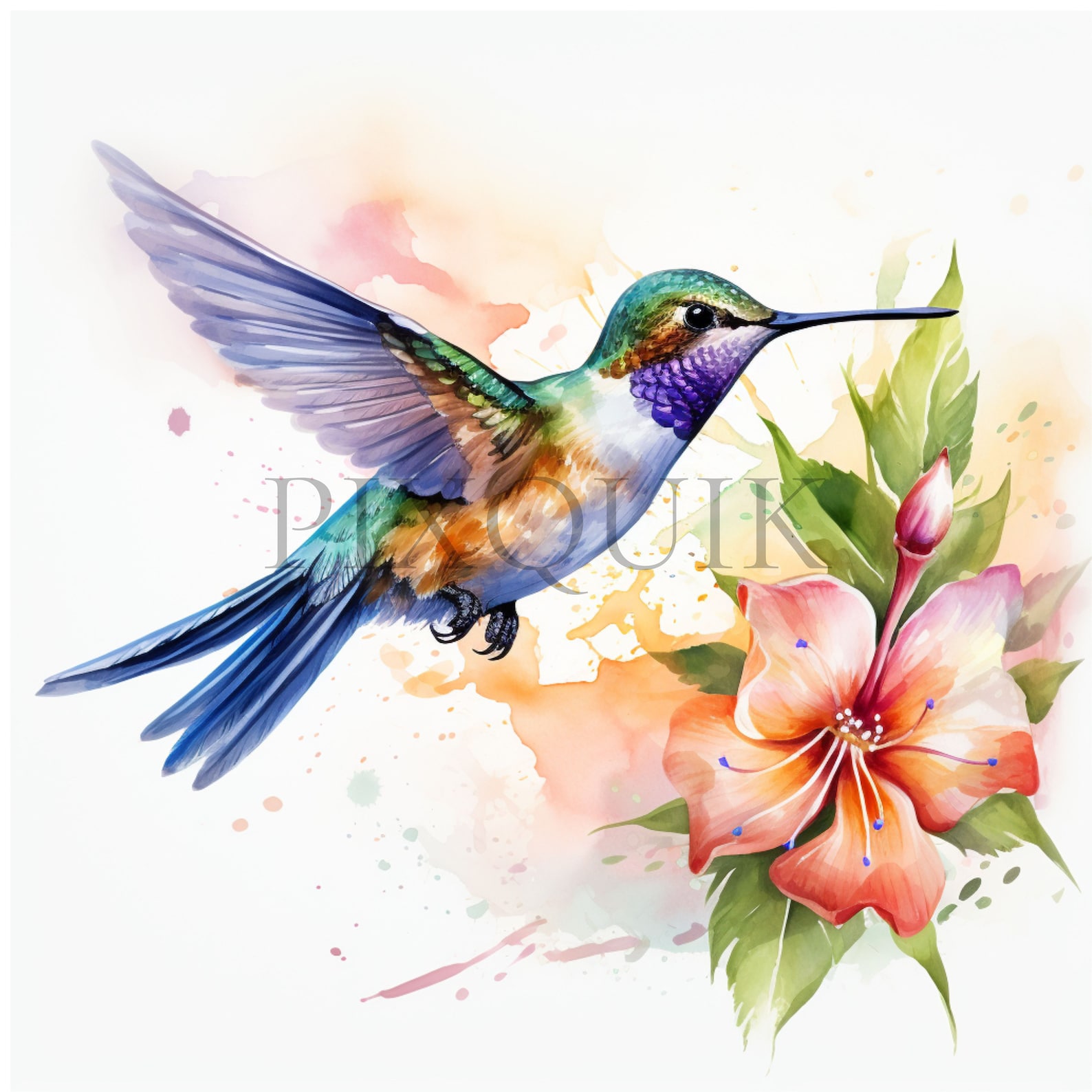 Watercolor Hummingbird Clipart Bundle 10 High Quality Jpgs Bird Clipart ...