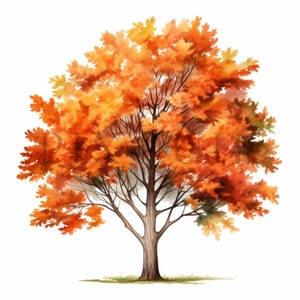 Autumn Tree Clipart | 10 High Quality Jpgs | Digital Download | Tree ...