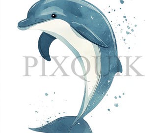Playful Dolphin Clipart PNG - Etsy