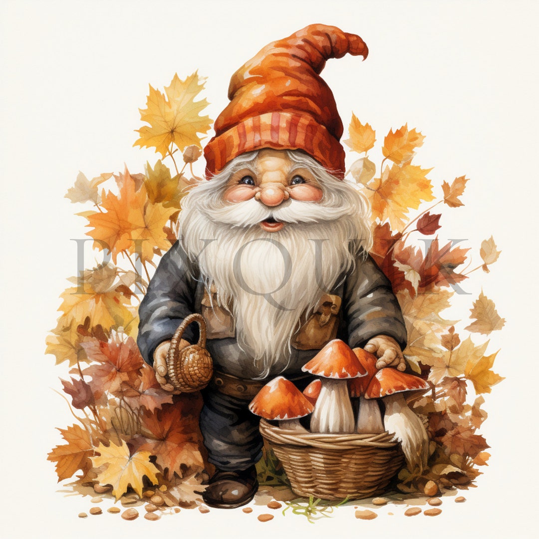 Thanksgiving Gnome Clipart | Fall Gnomes Jpgs (digital Download) - Etsy