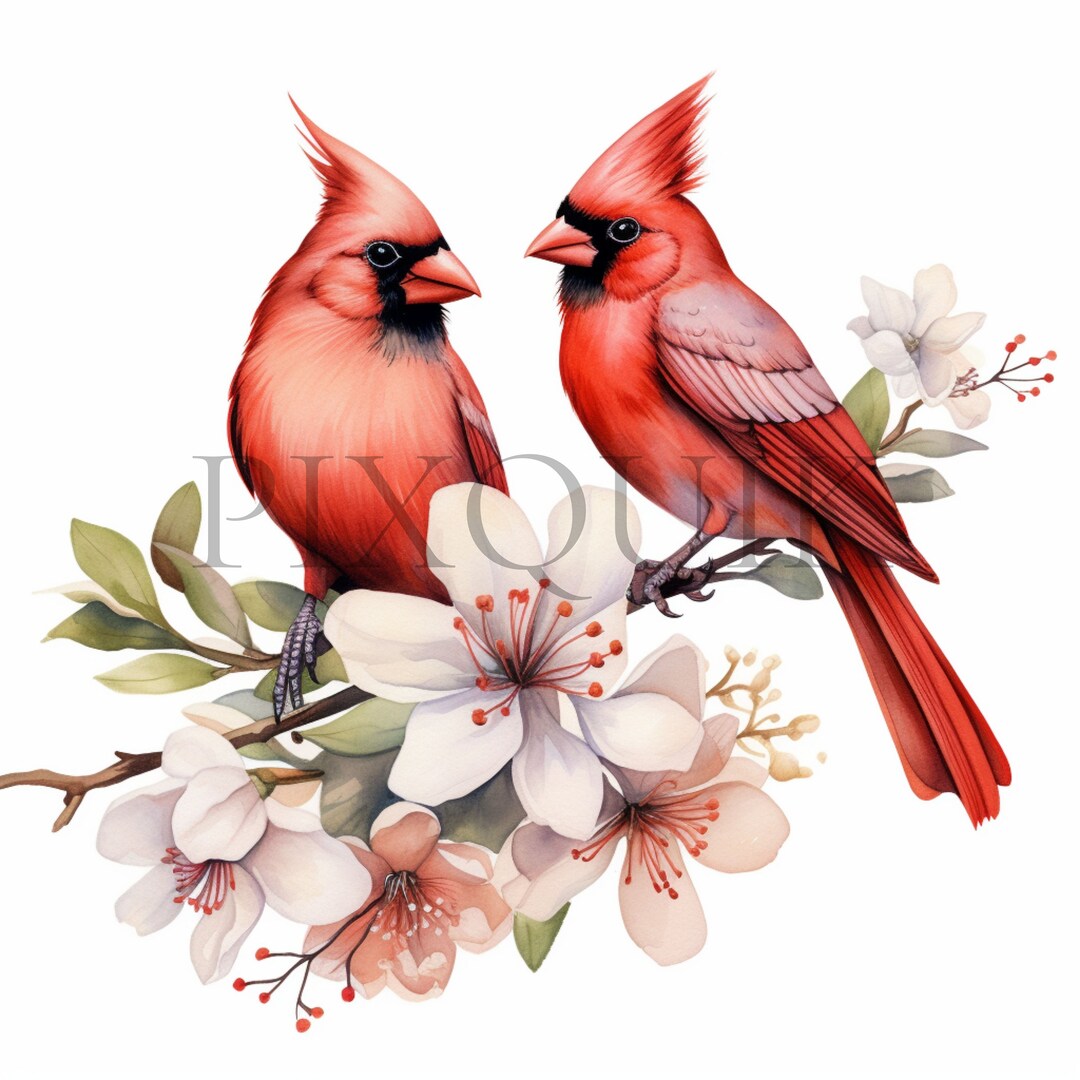 Cardinal Friends Flowers Clipart | 10 High Quality Jpgs | Commercial ...