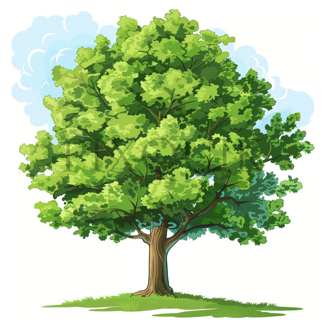 Sycamore Tree Clipart | 10 High Quality Jpgs | Sycamore Tree ...