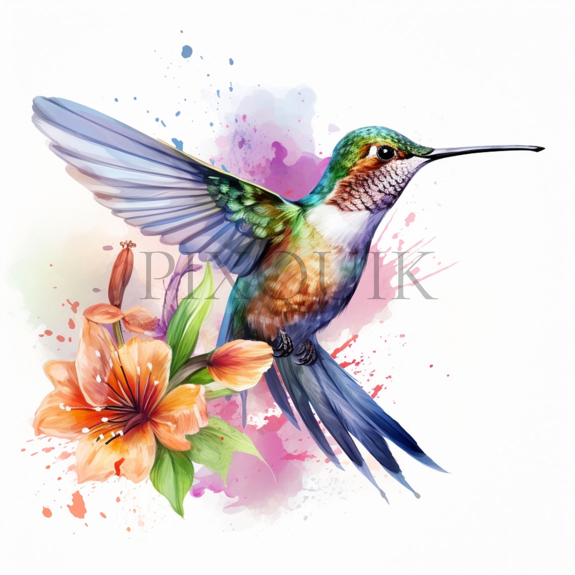 Watercolor Hummingbird Clipart Bundle 10 High Quality Jpgs Bird Clipart ...