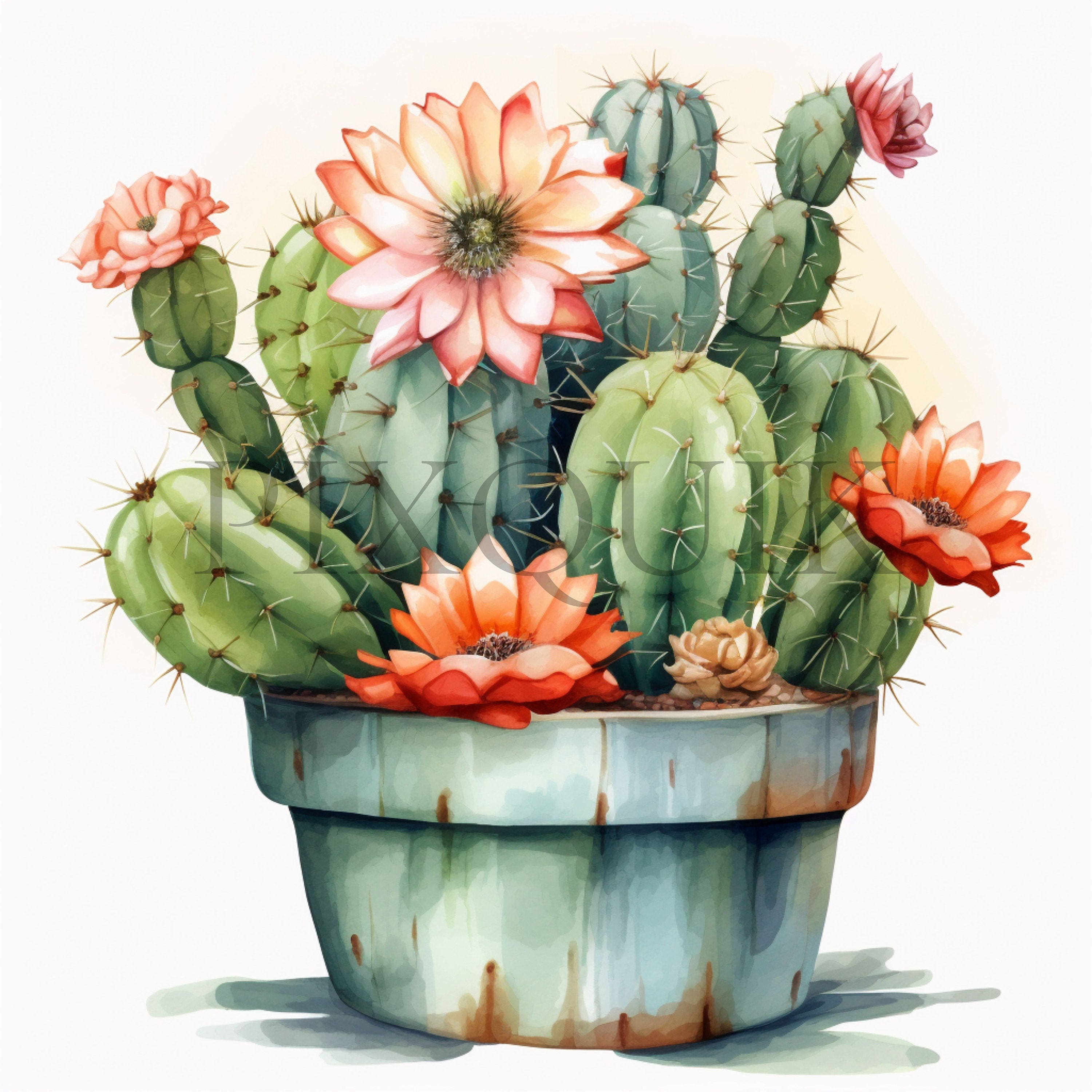 Cactus With Flowers Watercolor Clipart Set 10 High Quality Jpgs Floral ...