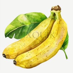 Watercolor Banana Clipart | 10 High Quality Jpgs | Banana Illustration ...