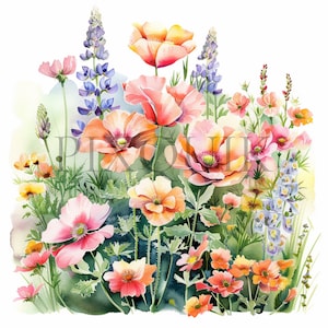Wildflower Clipart Set | Botanical Garden Illustrations (10 Jpgs) - Etsy