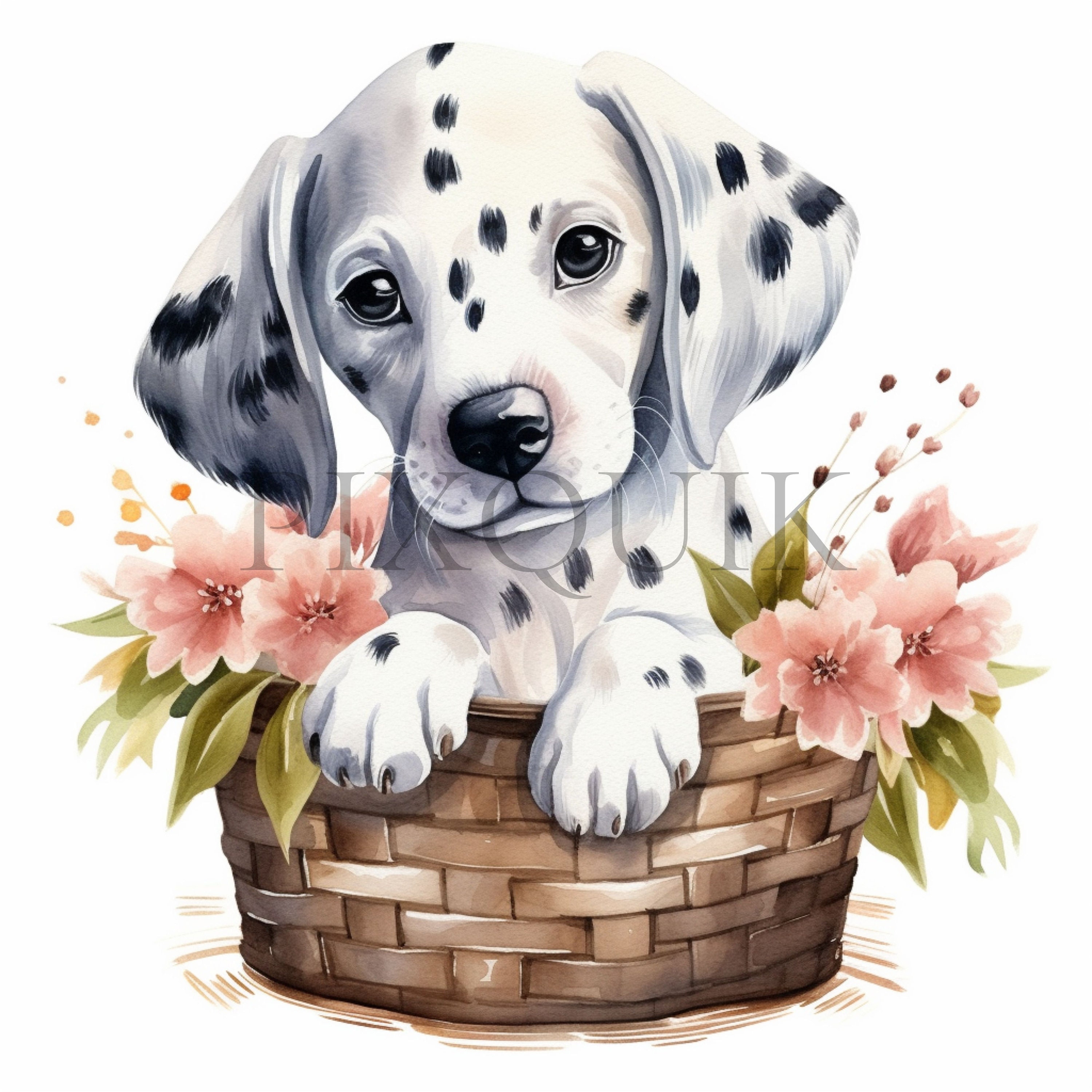 Dalmatian Clipart 10 High Quality Jpgs nursery Art, Digital Download ...