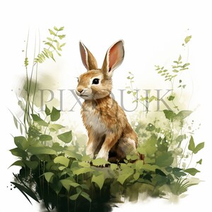 Rabbit Clipart | Woodland Animal Clipart | 10 High Quality JPG | Cute ...