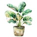 Potted Plant Clipart 10 High Quality Jpgs Indoor Plant Art Botanical ...