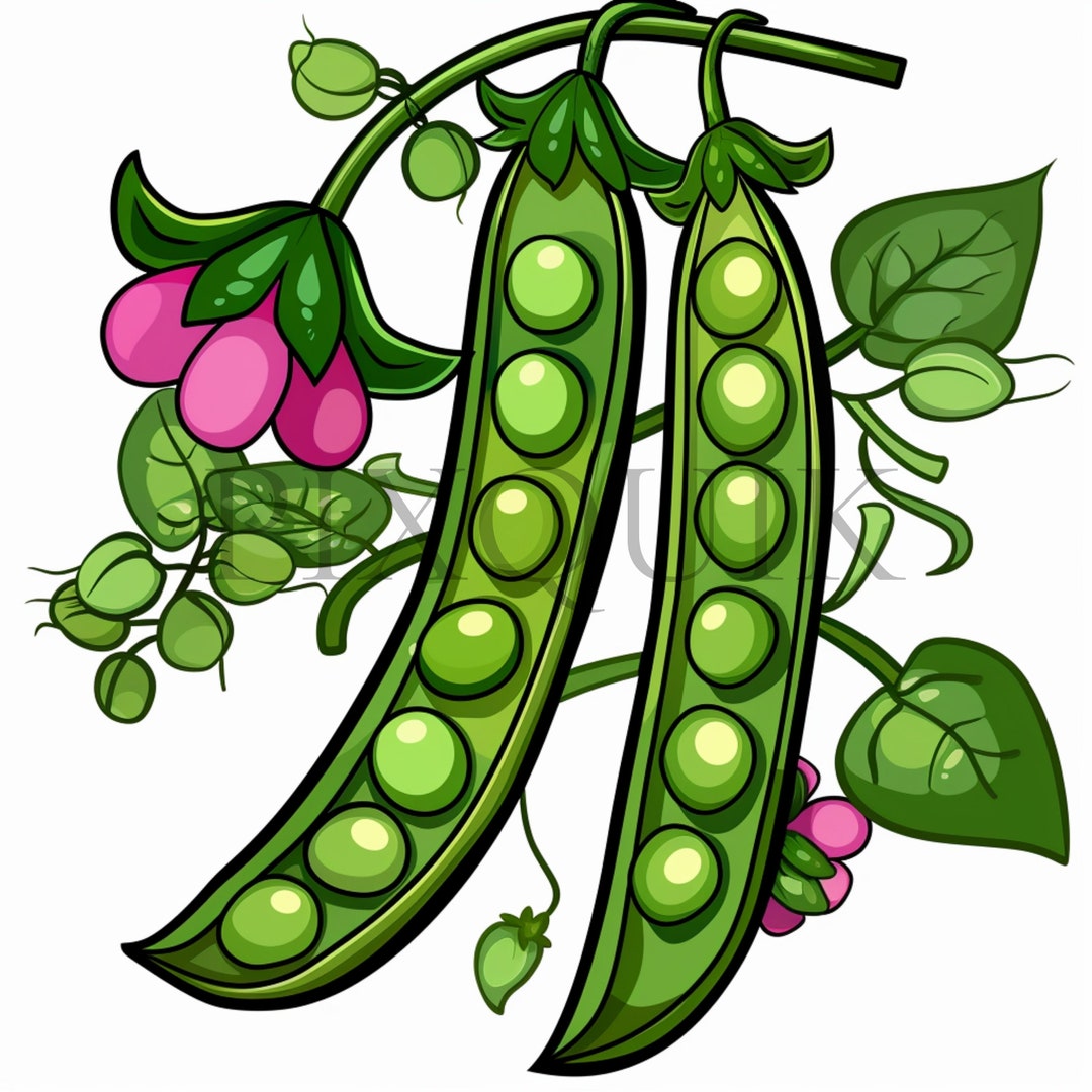 Sweet Peas Clipart 10 High Quality JPG Sweetpeas Sweet Pea Sweet Peas ...