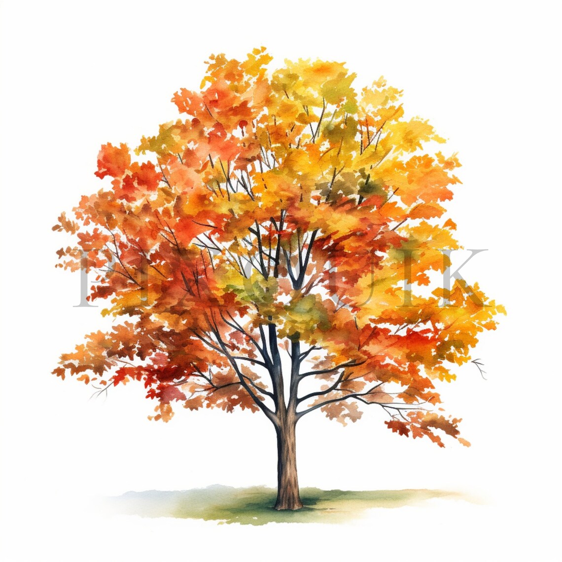Autumn Maple Tree Clipart | Fall Wall Art (digital Download) - Etsy
