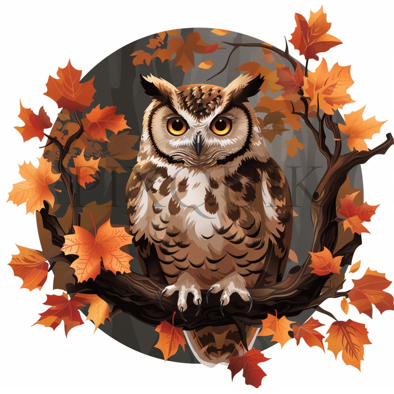 Autumn Owl Clipart | Fall Bird JPG Graphics (digital Download) - Etsy