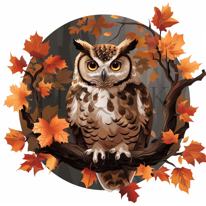 Autumn Owl Clipart | Fall Bird JPG Graphics (digital Download) - Etsy