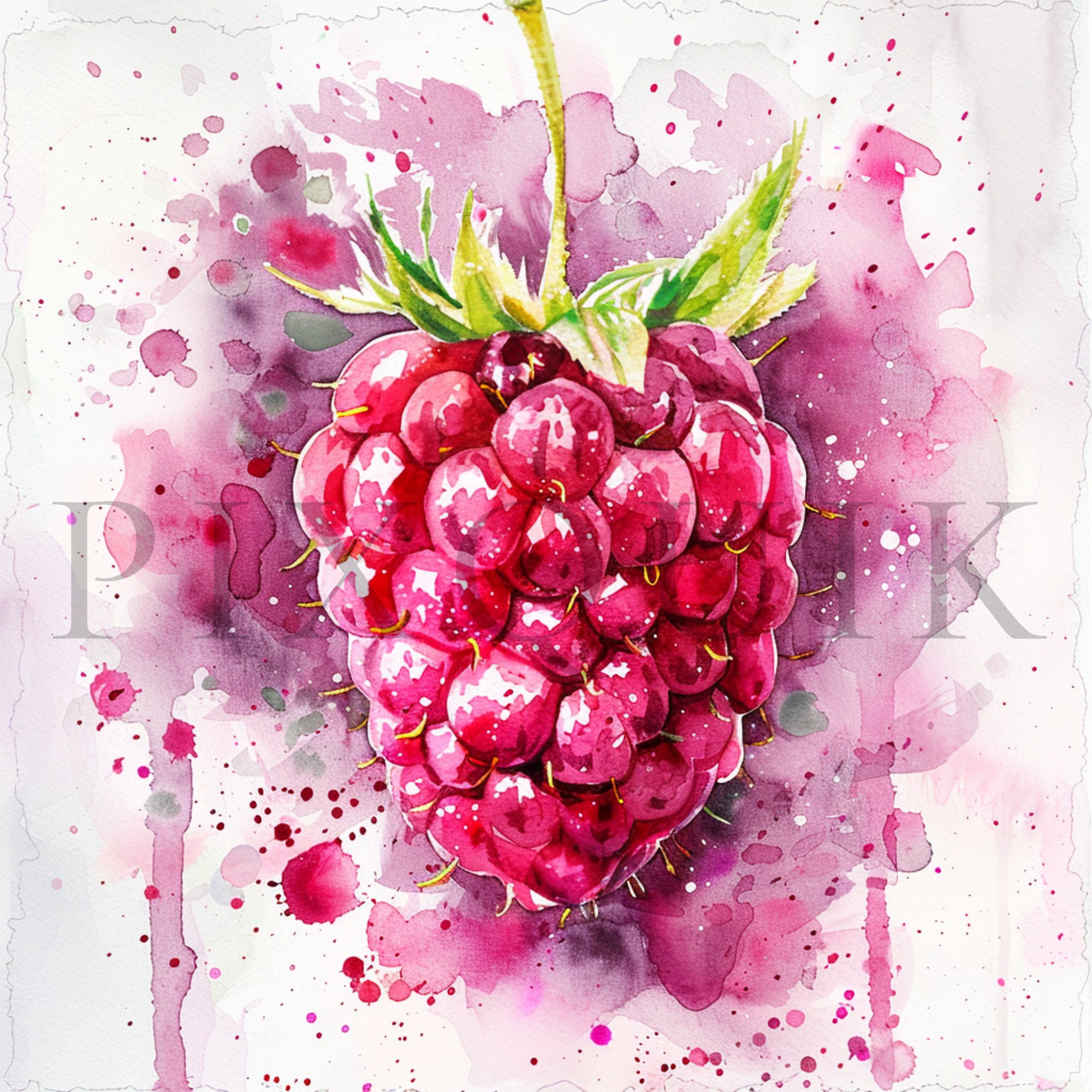 Watercolor Raspberry Clipart 11 High Quality Jpgs Digital Download ...