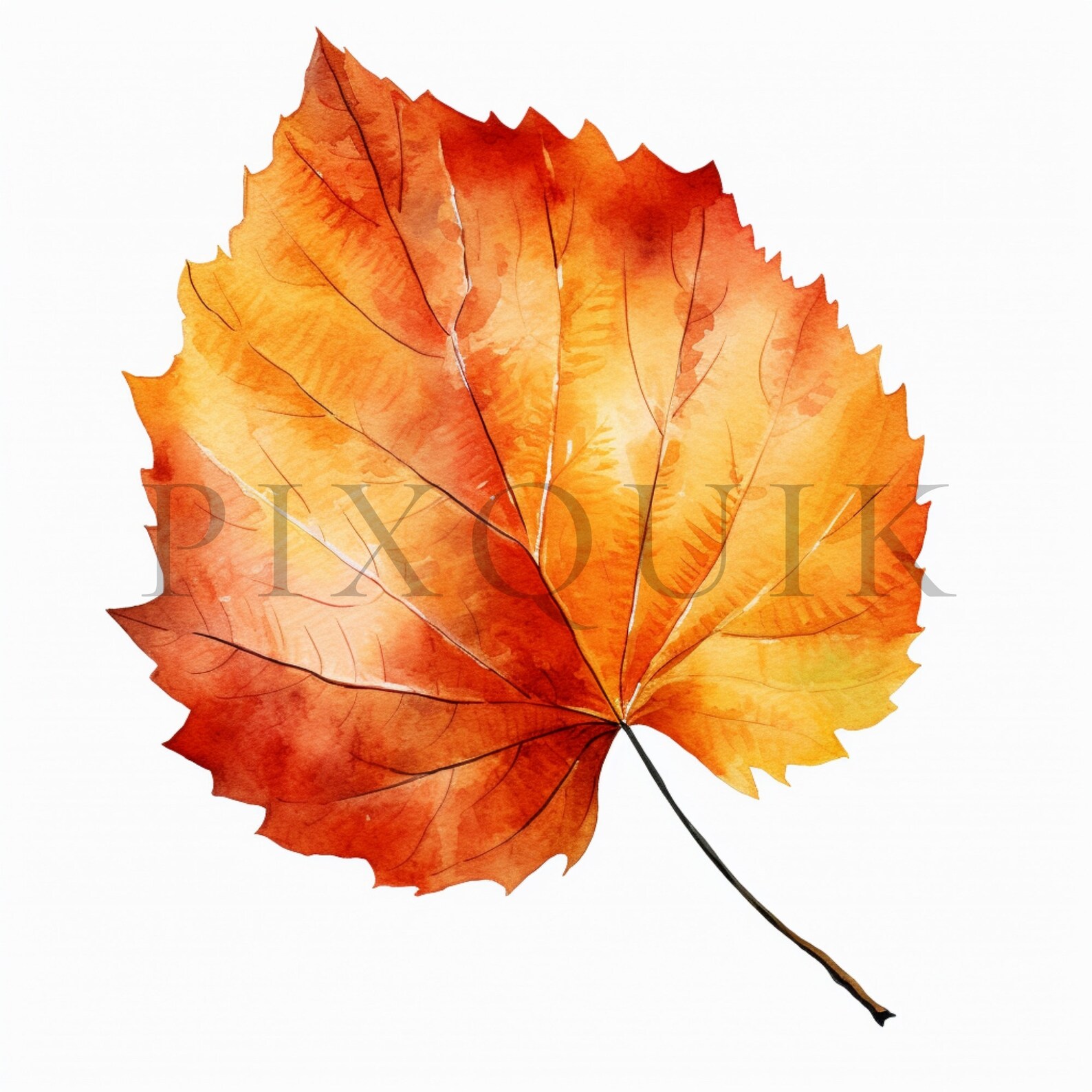 Autumn Leaf Clipart 10 High Quality Jpgs Digital Download Fall Foliage ...