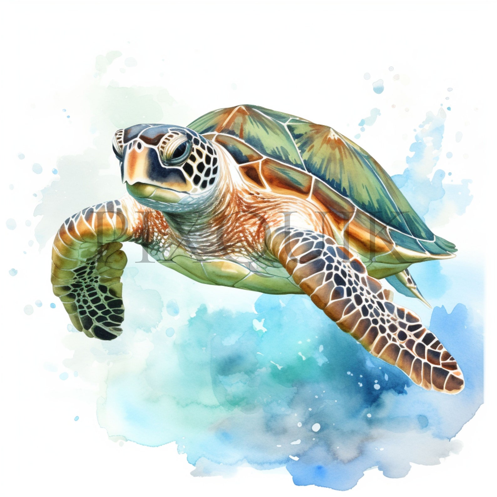 Watercolor Sea Turtle Clipart | High-quality Jpgs (digital Download) - Etsy