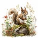 Squirrel Clipart | 10 JPG Woodland Animal Graphics (digital Download ...