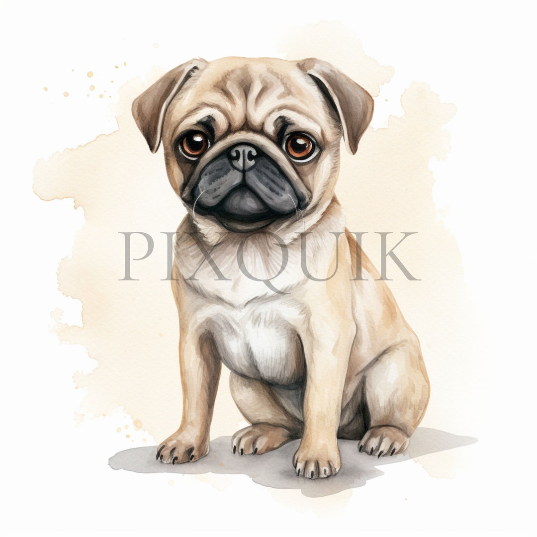 Pug Clipart | 10 High Quality Jpgs | Puppy Clipart | Cute Pug Clipart ...