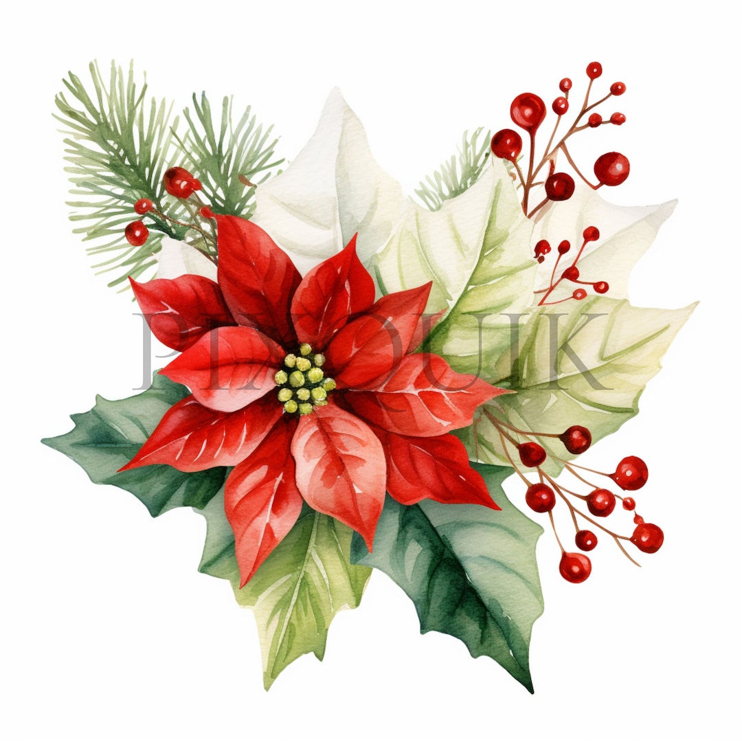 Festive Christmas Plant Clipart 10 High Quality Jpgs Holiday Flora Art ...