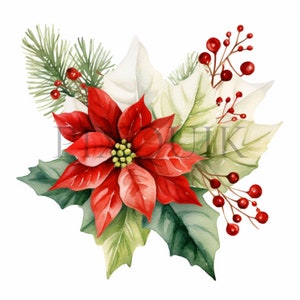 Festive Christmas Plant Clipart 10 High Quality Jpgs Holiday Flora Art ...