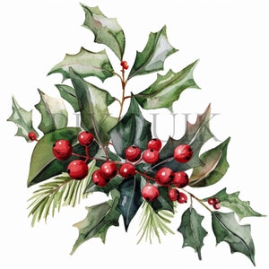 Christmas Holly Clipart | Festive Holiday Flora Art (10 Jpgs) - Etsy Canada