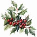 Festive Christmas Plant Clipart | 10 High Quality Jpgs | Holiday Flora ...
