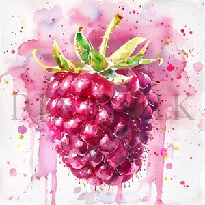 Watercolor Raspberry Clipart | High-resolution Jpgs (digital Download ...