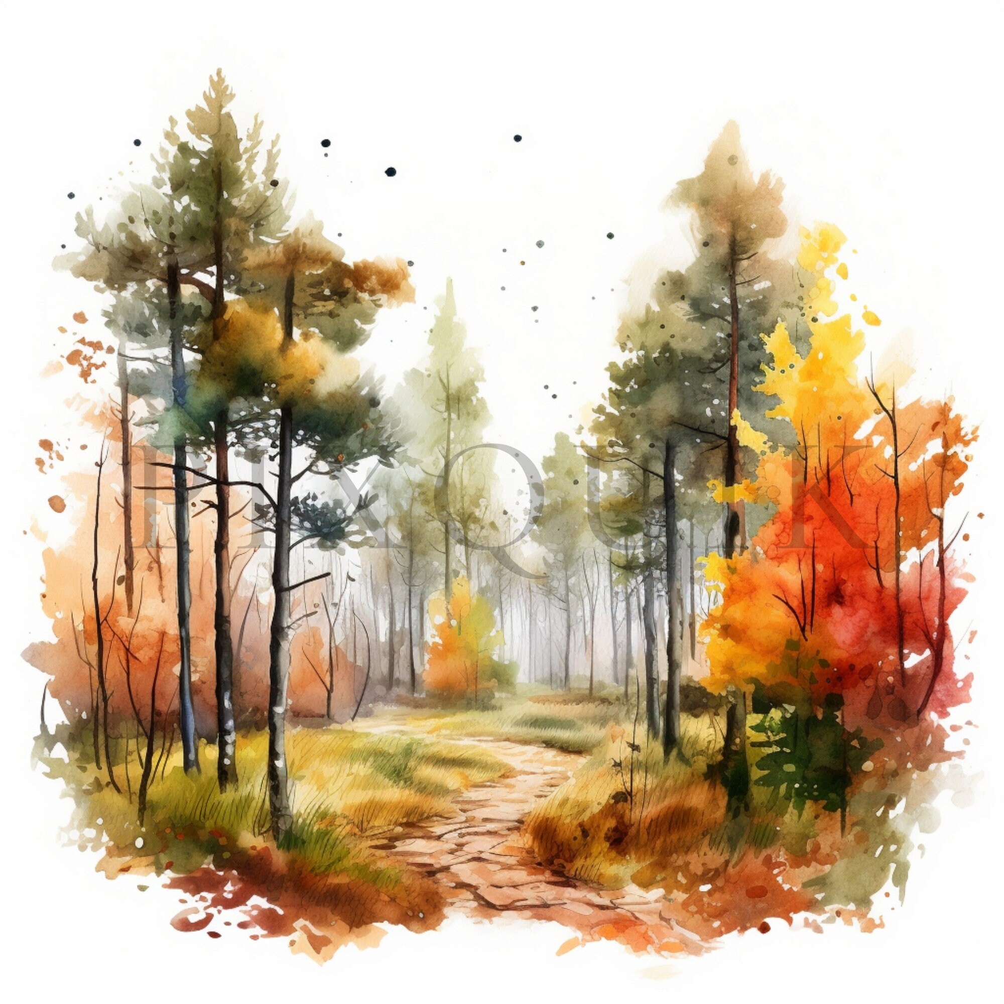 Autumn Forest Clipart 10 High Quality Jpgs Digital Download Forest ...