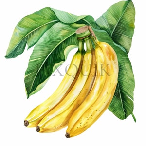 Watercolor Banana Clipart | 10 High Quality Jpgs | Banana Illustration ...