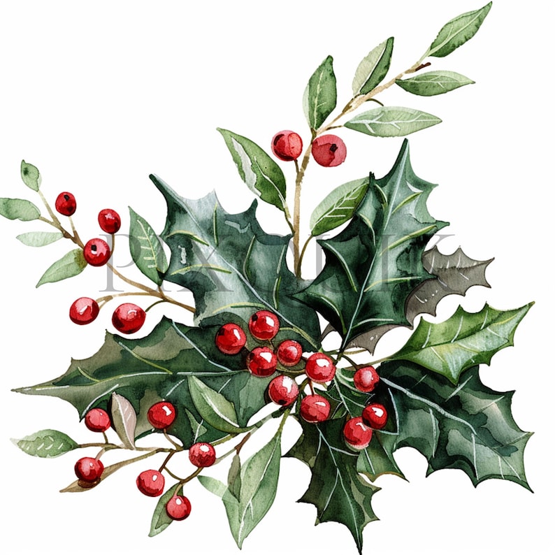 Festive Christmas Plant Clipart 10 High Quality Jpgs Holiday Flora Art ...