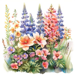 Garden Flower Clip Art | 10 High Quality Jpgs | Wild Flowers | Floral ...