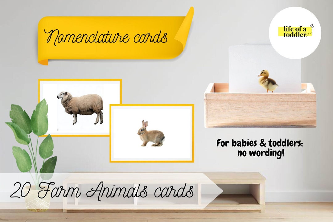 FARM ANIMALS real Pictures & Proportionate 20 Montessori Cards PDF ...