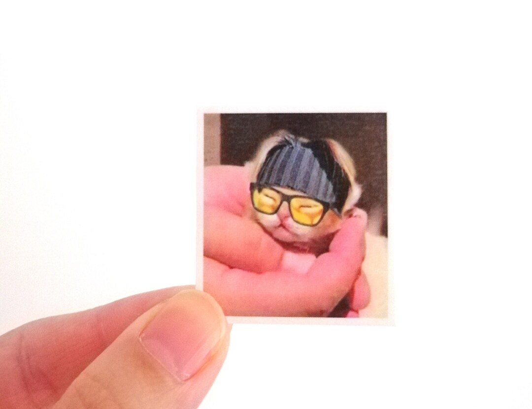 Agustd Funny Cat Meme Sticker Yoongi Suga Kitten Agust D of BTS in ...