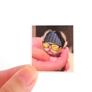 Agustd Funny Cat Meme Sticker Yoongi Suga Kitten Agust D of BTS in ...