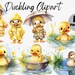 Watercolor Duckling Clipart Bundle | Duckling PNG | Duckling Digital ...