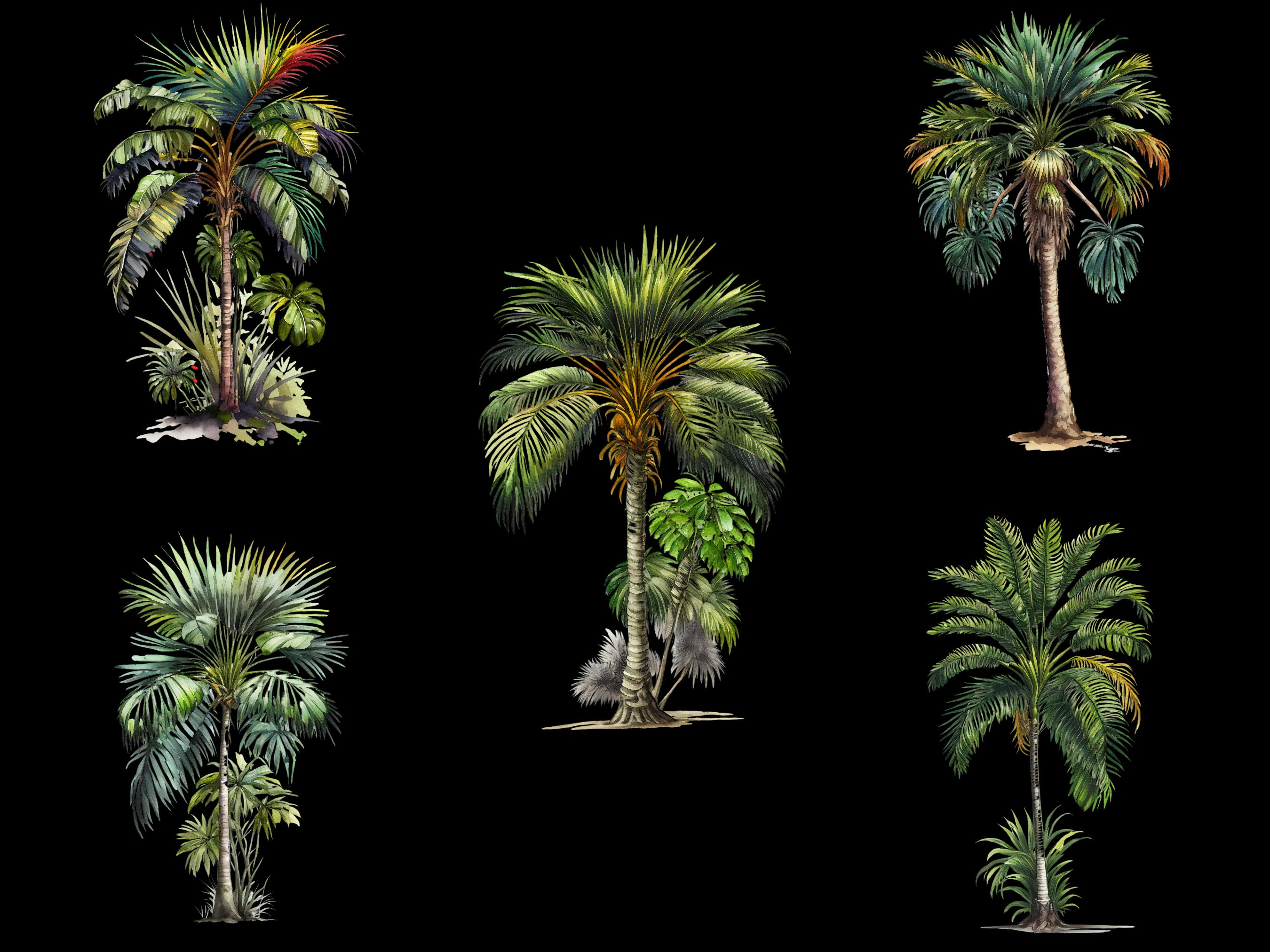 Watercolor Palm Tree Clipart Bundle | Palm Tree Digital Images | Palm ...