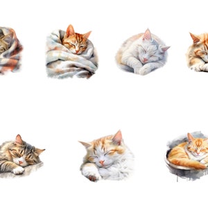 Watercolor Sleeping Cat Clipart Bundle | Watercolor Cat PNG | Cute ...