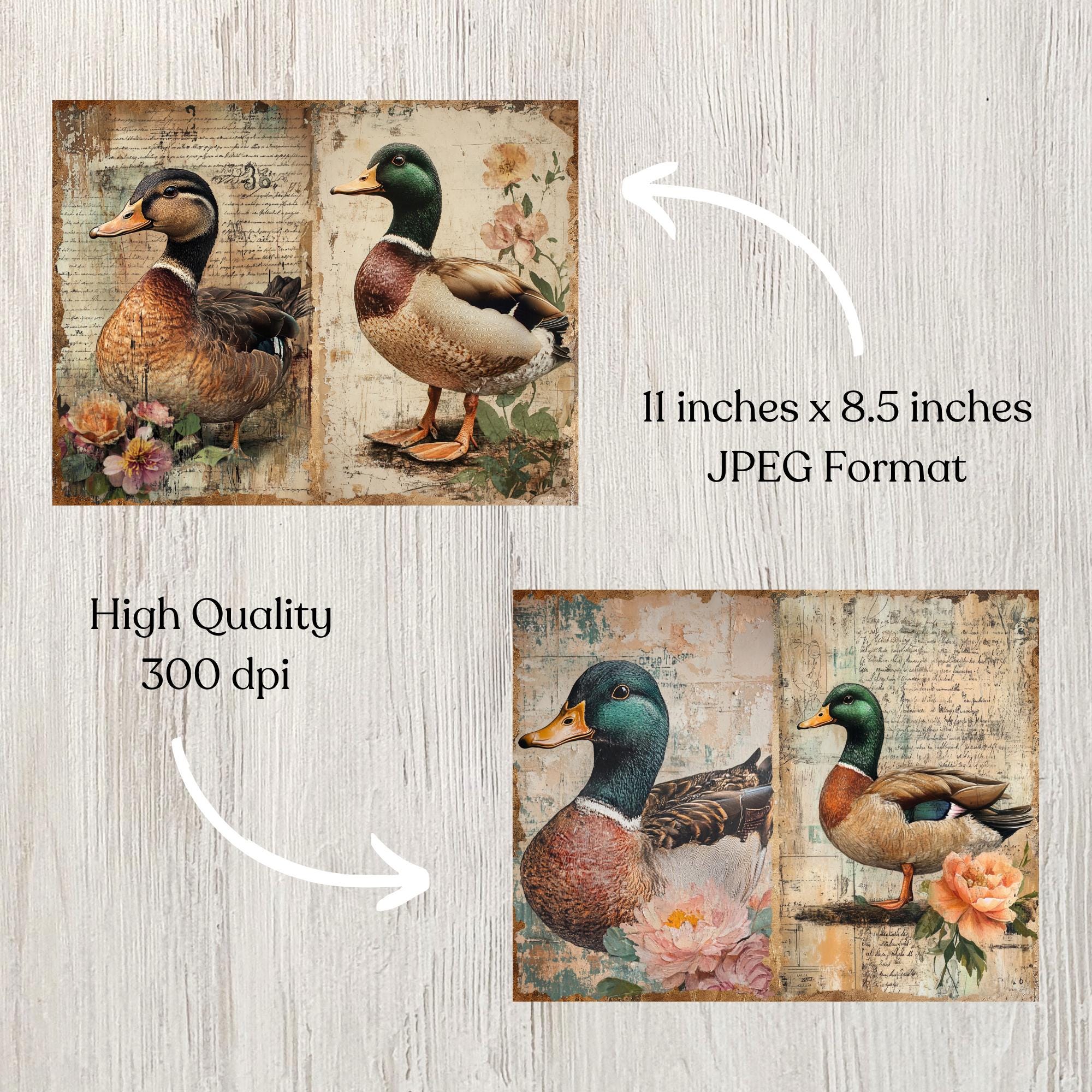 Duck Junk Journal Papers Kit Animal Ephemera Printable Download Mixed ...