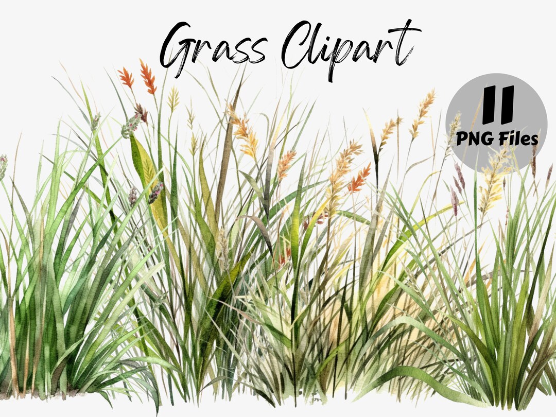 Grass Clipart Bundle | Grass Sublimation | Green Meadow Graphics ...