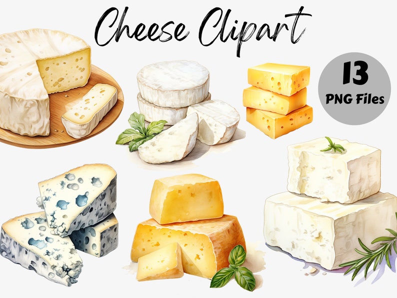 Watercolor Cheese Clipart Bundle | Brie | Cheddar | Picnic Clipart ...