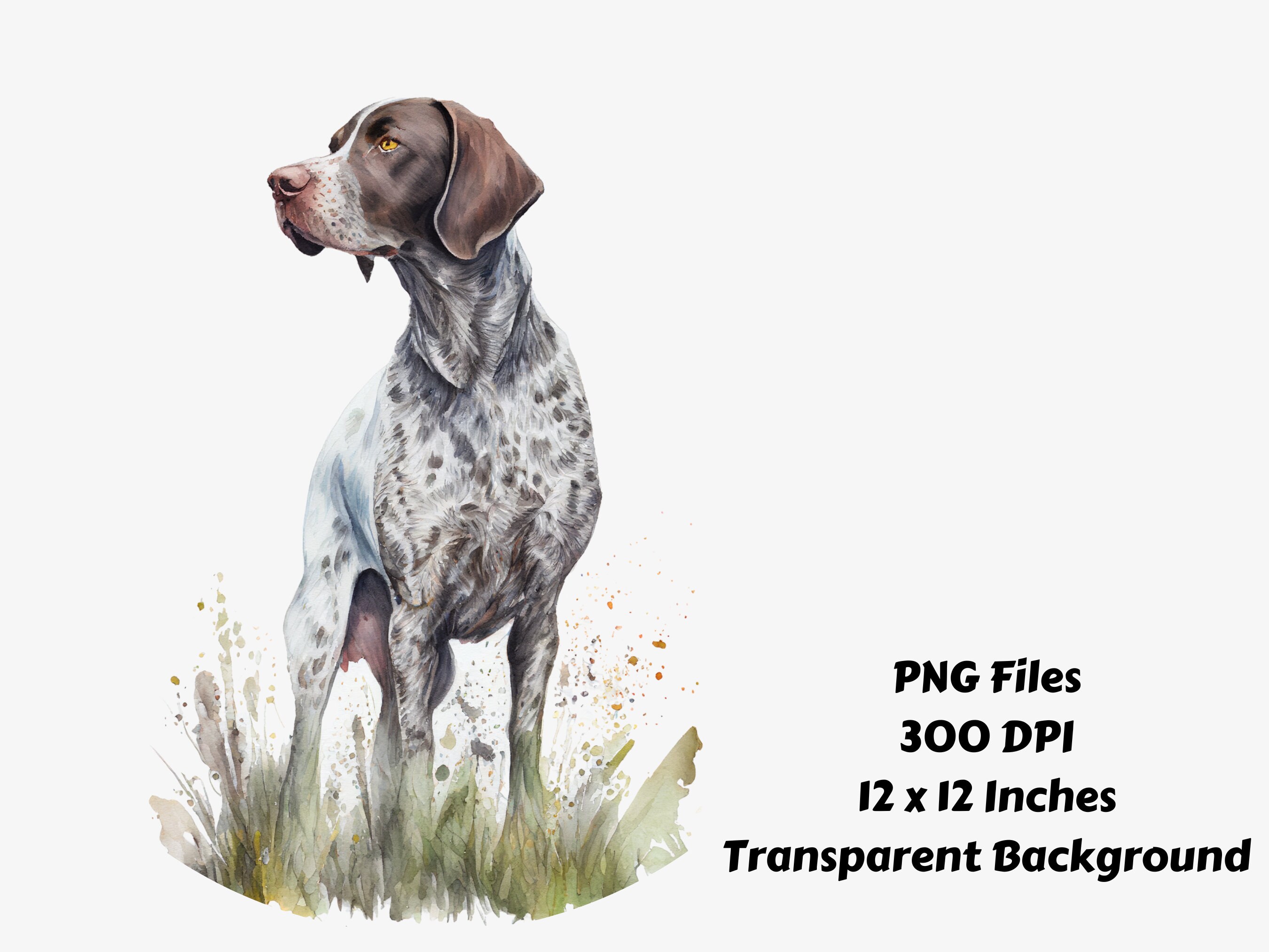 Watercolor German Pointer Clipart Bundle | German Pointer Digital ...