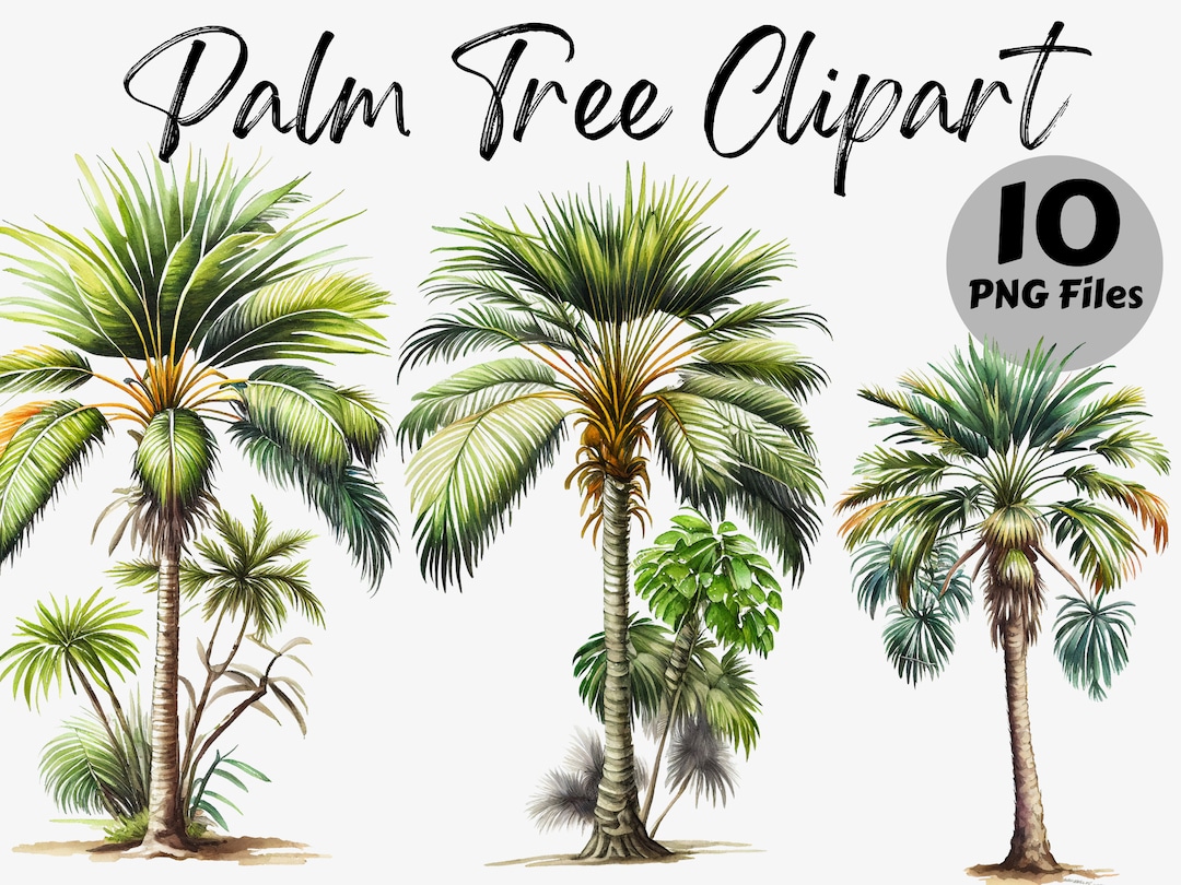 Watercolor Palm Tree Clipart Bundle | Palm Tree Digital Images | Palm ...