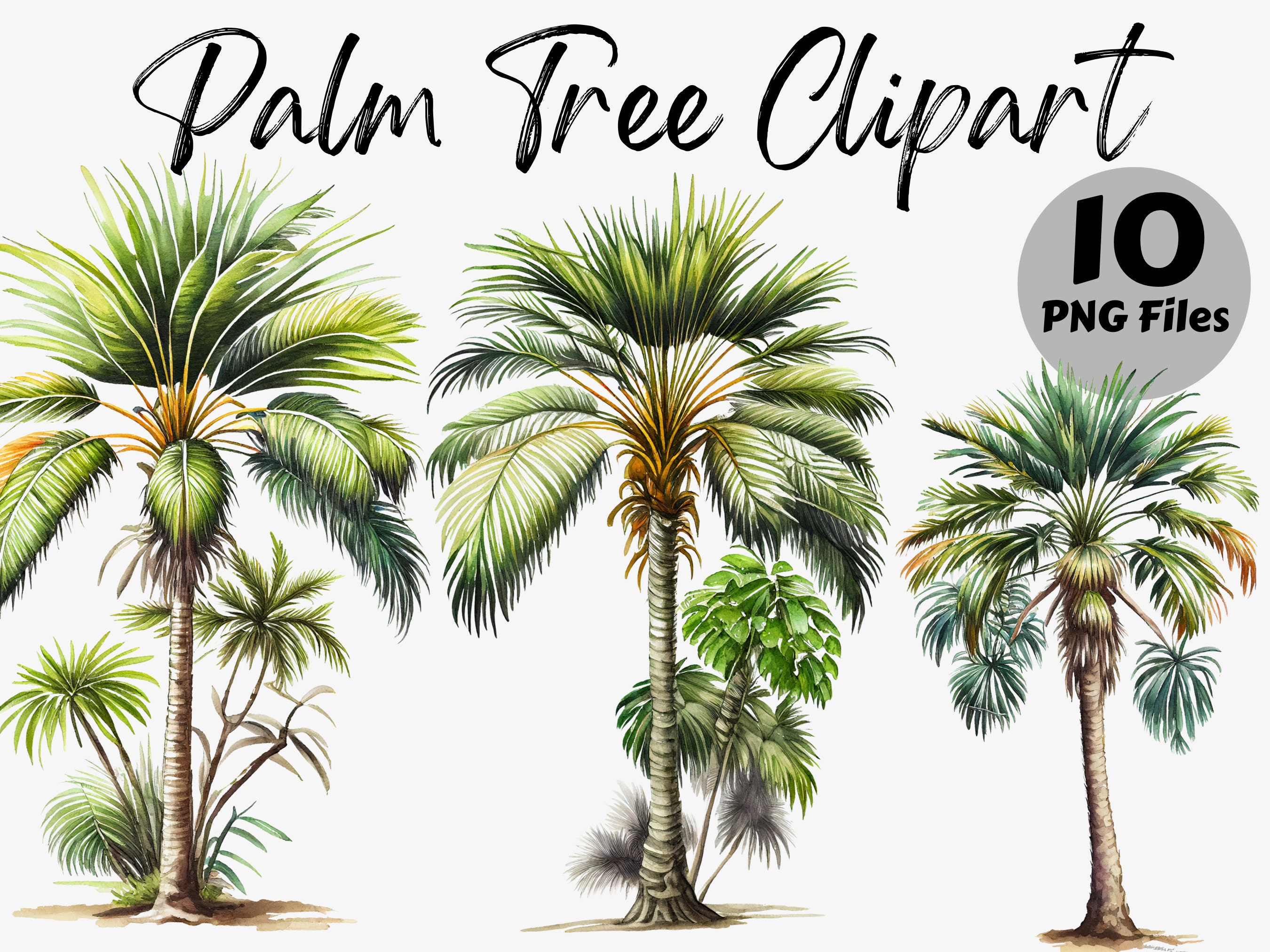 Watercolor Palm Tree Clipart Bundle Palm Tree Digital Images Palm Tree ...