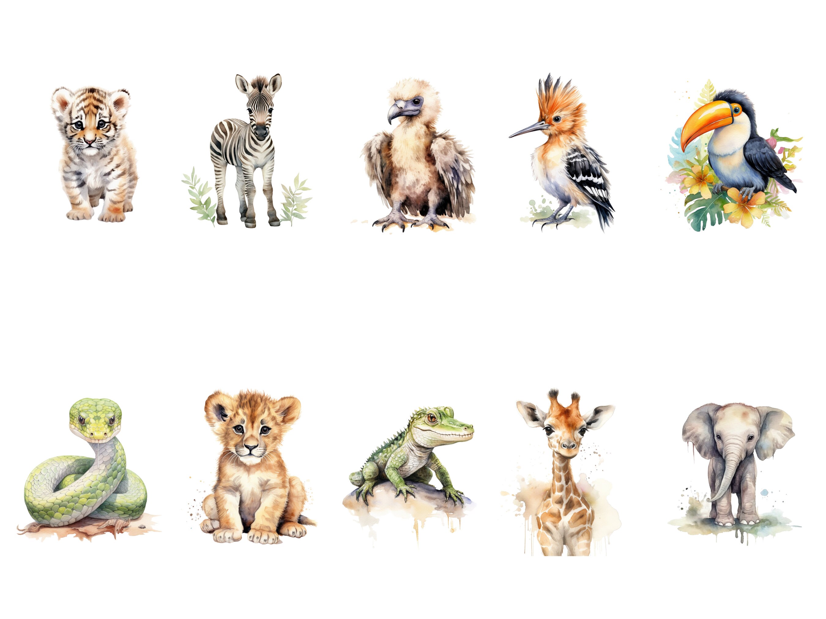 Watercolor Baby Safari Animal Clipart Bundle Animal PNG - Etsy