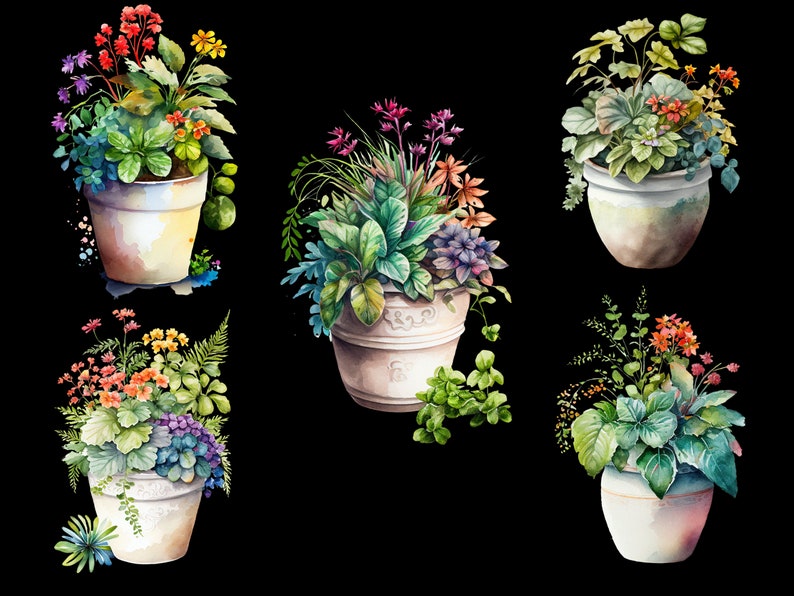 Watercolor Pot Plant Clipart Bundle Pot Plant Digital Images Pot Plant ...