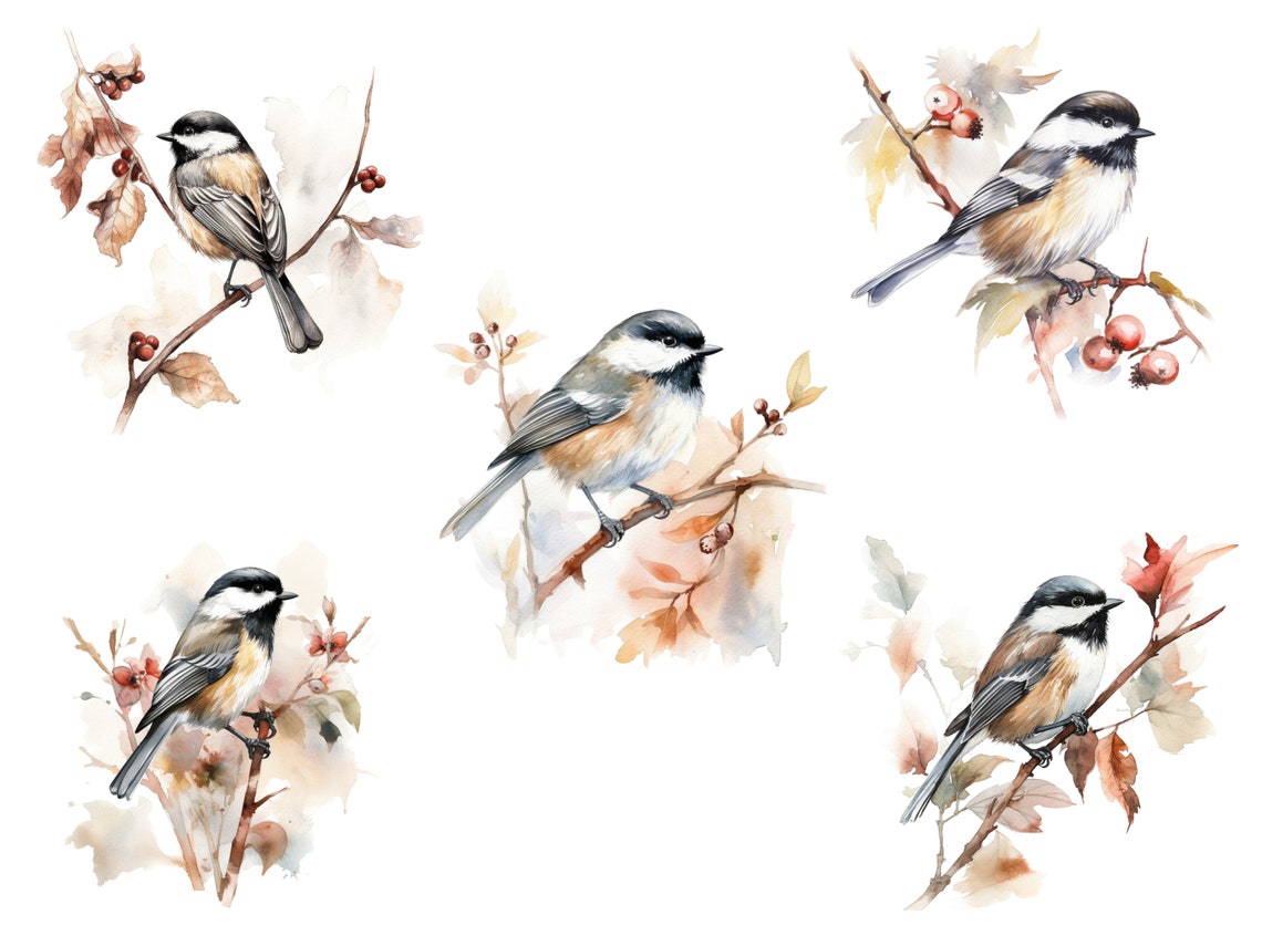 Watercolor Chickadee Clipart Bundle | Chickadee Digital Images ...