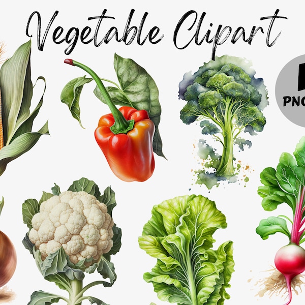 Vegetable Clipart - Etsy