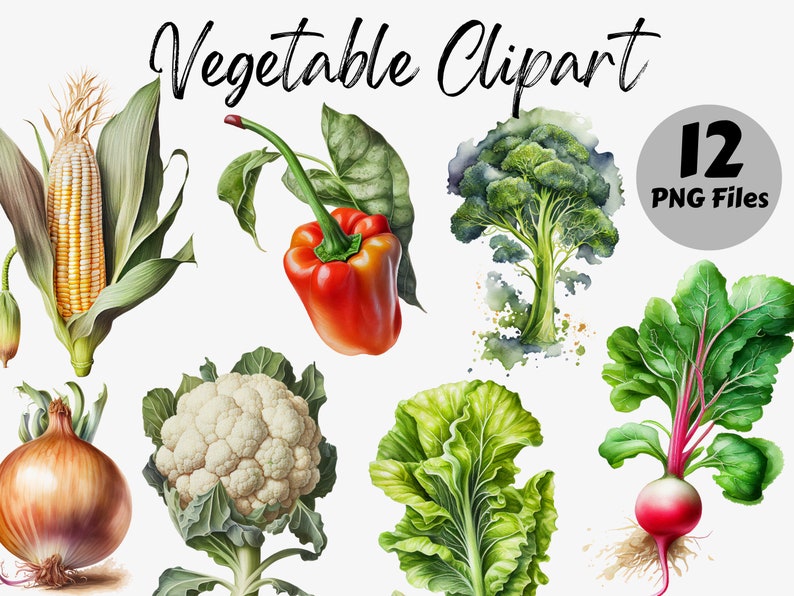 Watercolor Vegetable Clipart Bundle Vegetable Digital Images Vegetable ...